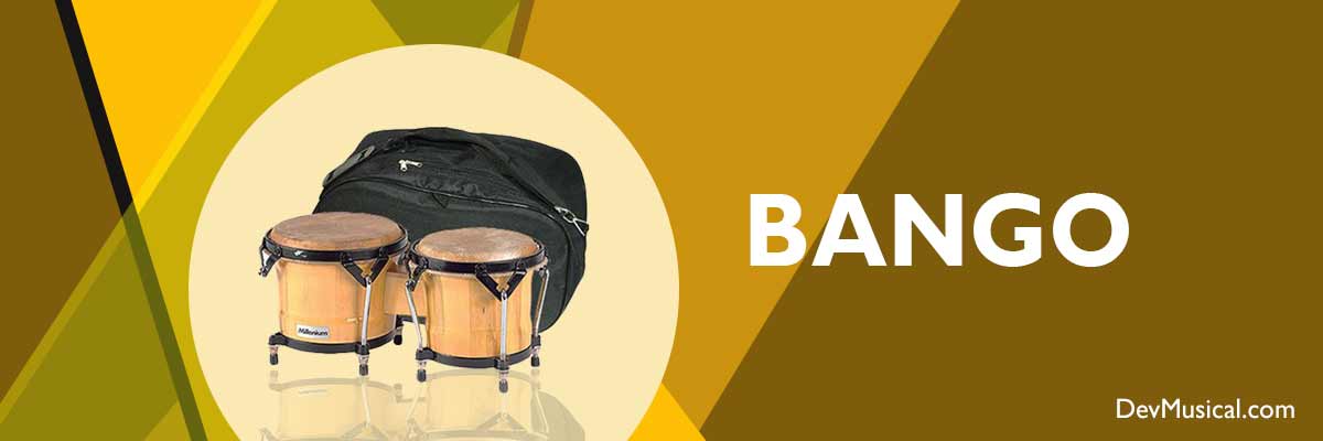 Bango: Buy Bango Online in India | Devmusical | page 1