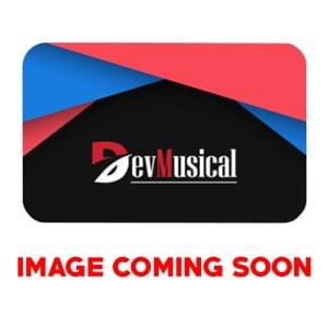 Greg Bennett FN-4 Fairlane Metallic Black Electric Bass Guitar | DevMusical