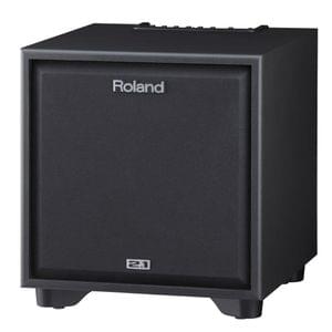 Roland CM-220 Cube Monitor | DevMusical